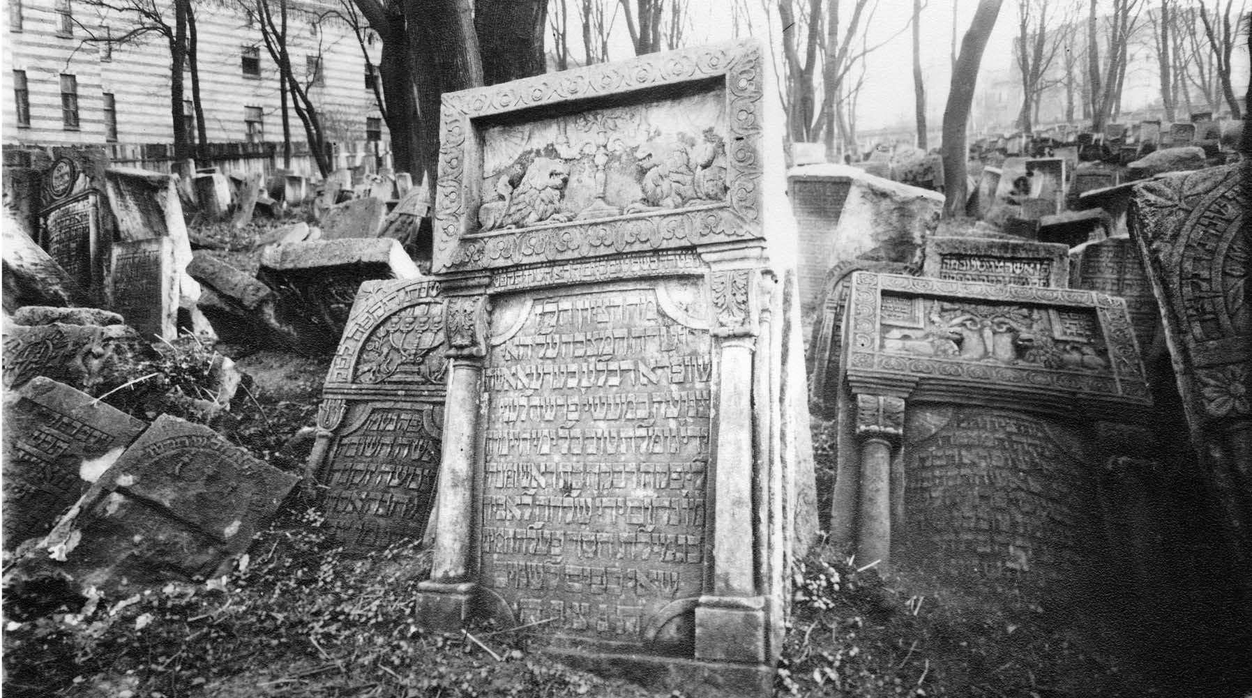 Forgotten Galicia - The Lost Jewish Cemeteries of Lviv